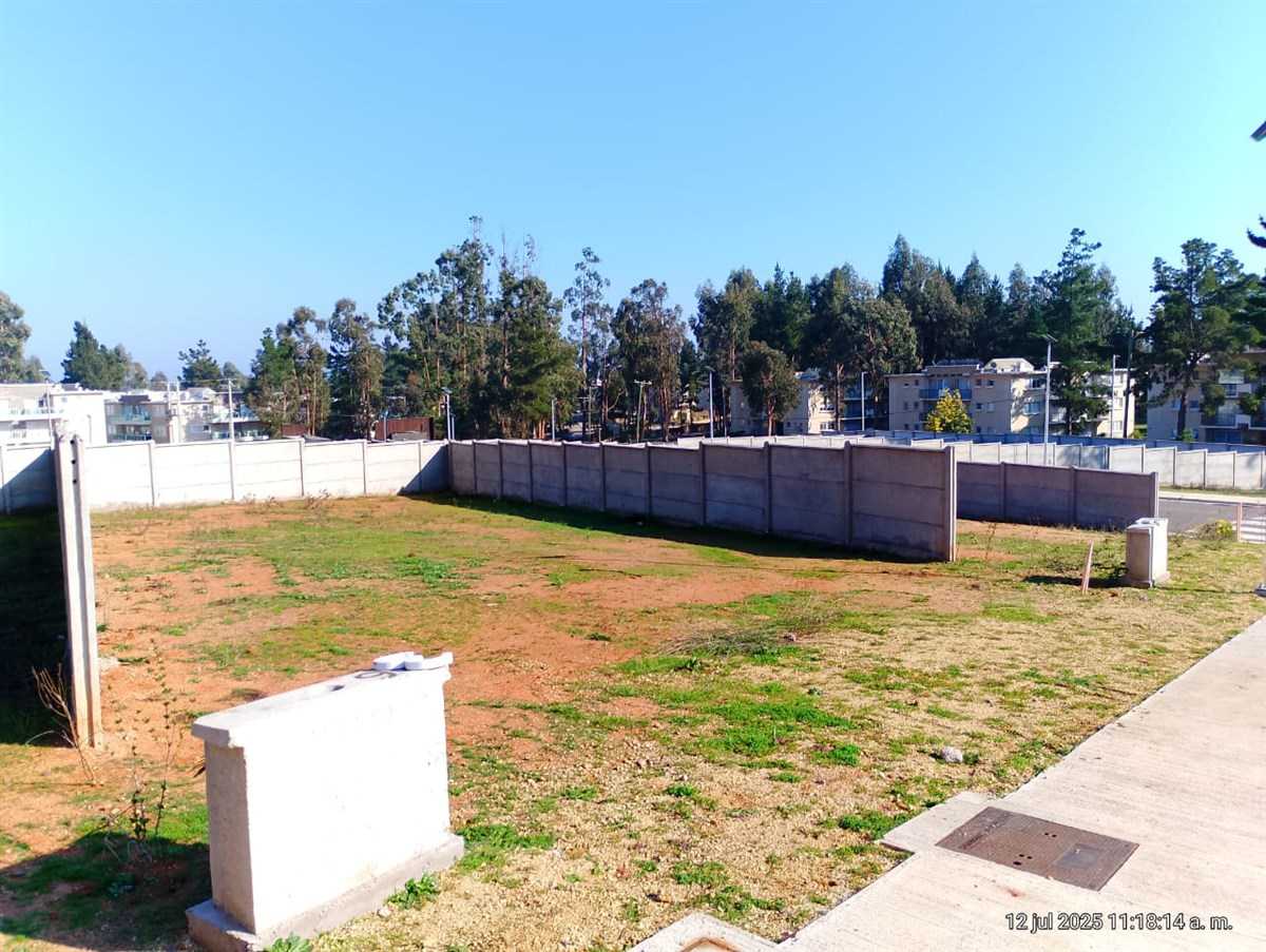 Sitio o Terreno en Venta en Algarrobo | R77150929-0L0-116070888 | Emol Propiedades