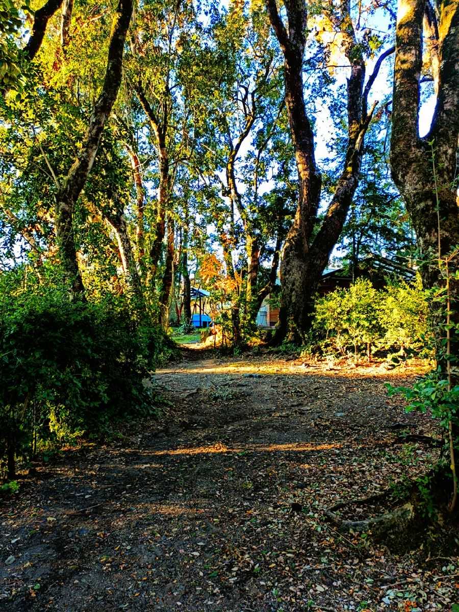 Sitio o Terreno en Venta en Pucón | R77150929-0L0-104065565 | Emol ...