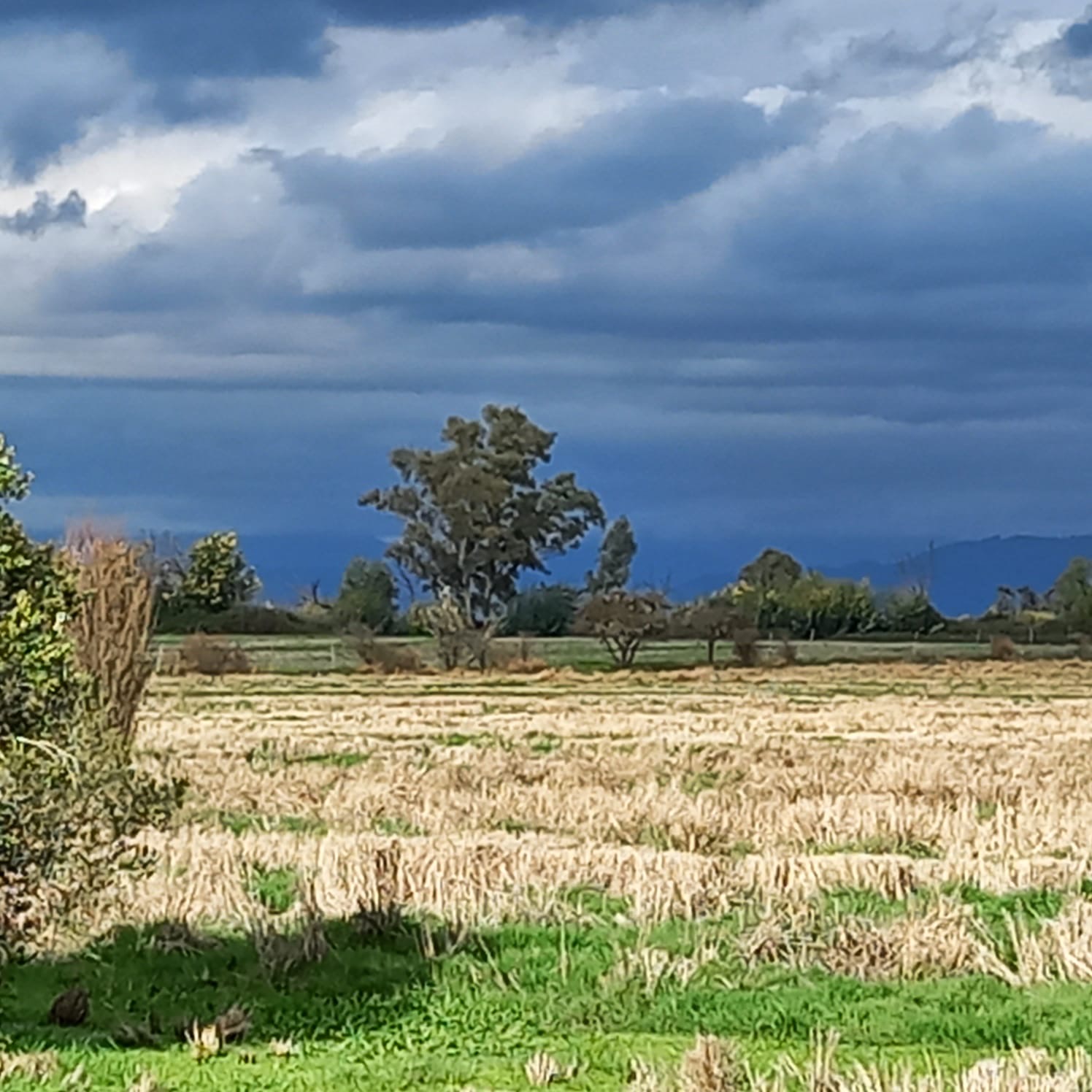 Parcela o Chacra en Venta en Longaví | 48555695 | Emol Propiedades