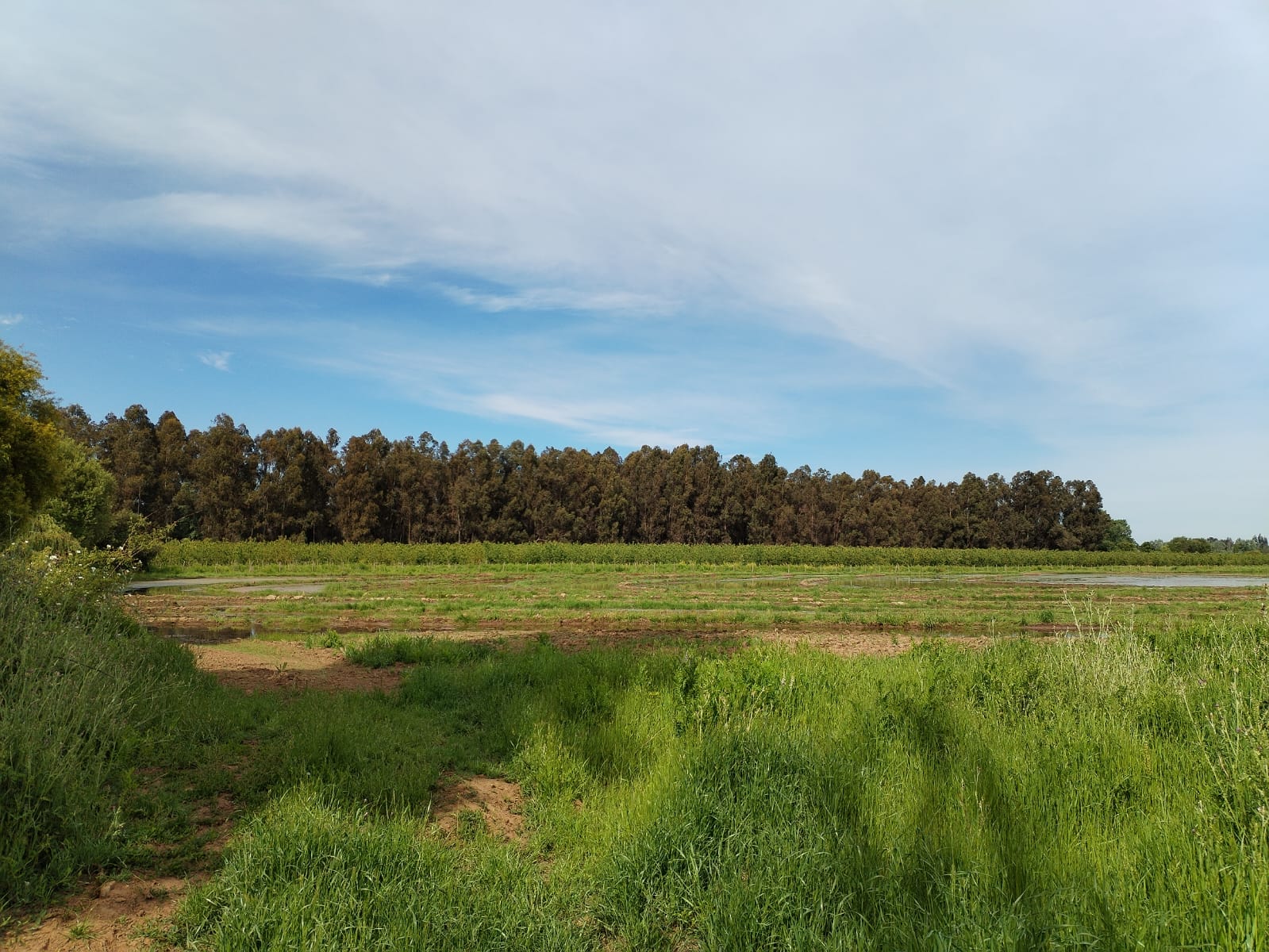 Parcela o Chacra en Venta en Longaví | 48555695 | Emol Propiedades